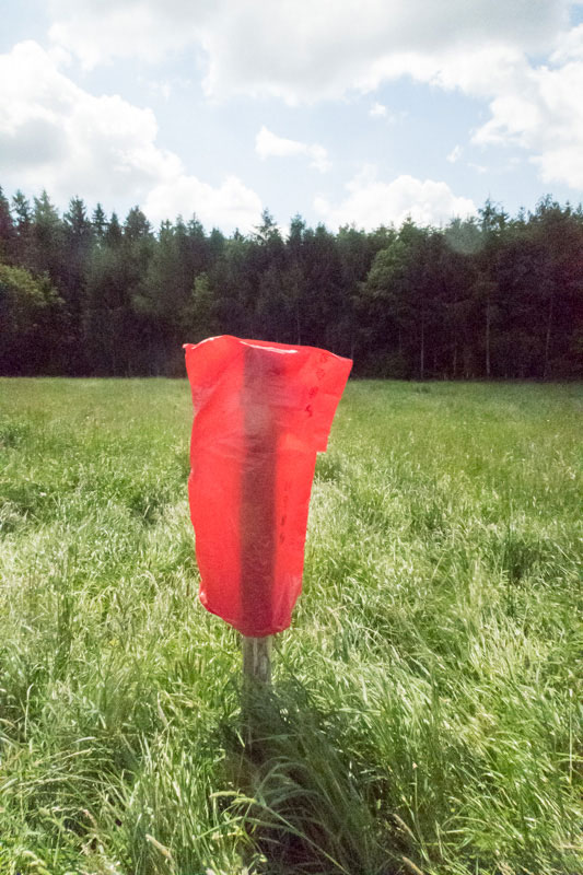 Tuete-2 › Waidmanns Dank!